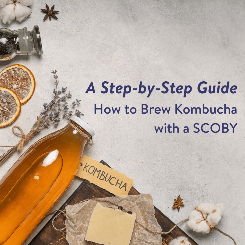 How to Brew Kombucha with a SCOBY: A Step-by-Step